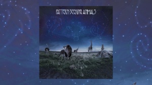 Pattern-Seeking Animals – Pattern-Seeking Animals – T P A